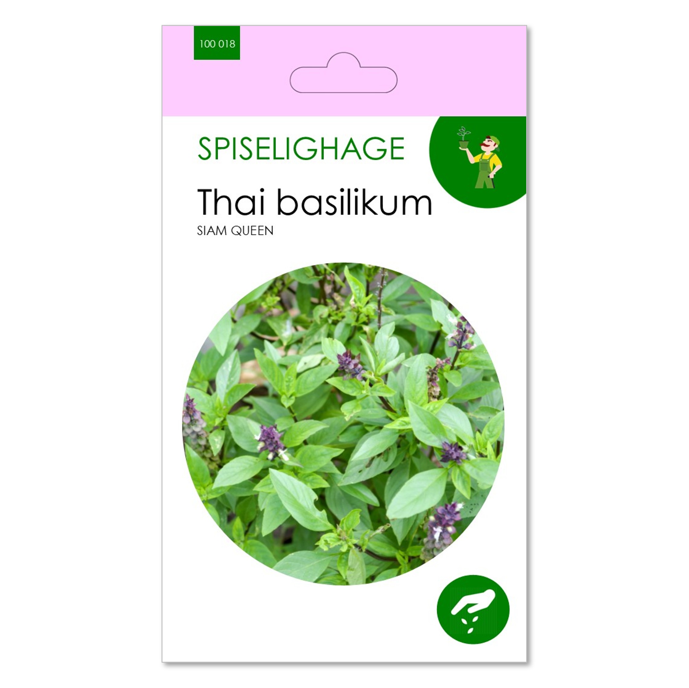 Ersatz Fr Thai Basilikum